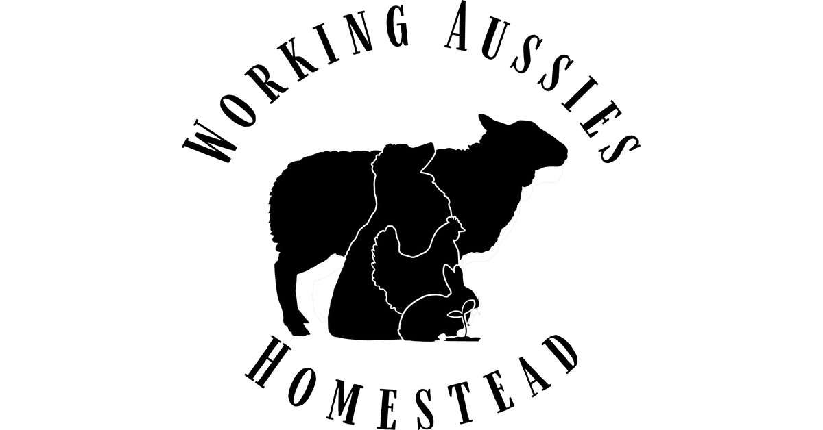 Working Aussies Homestead