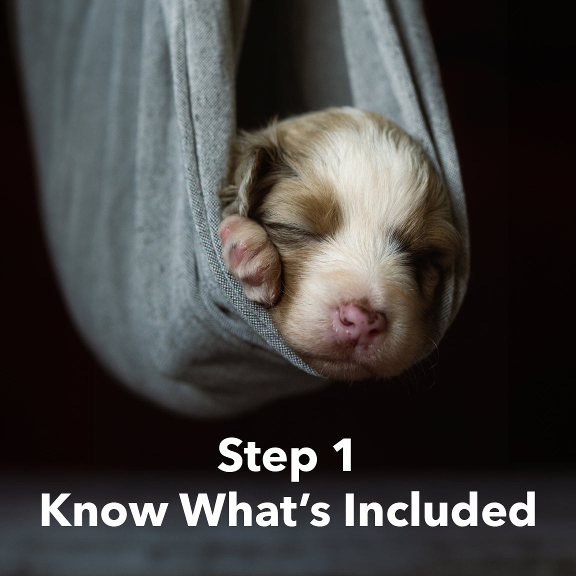 Working Aussies Homestead